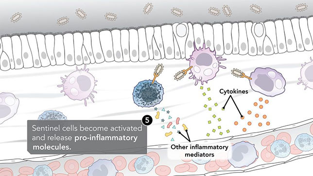 Harvard HMX Offers Dose of Medical School Training in Online Format ...