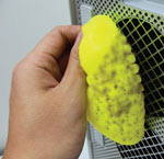 Sponge Blob -- Occupational Health & Safety