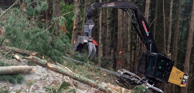 Oregon OSHA Revises Guidelines for Tethered Logging -- Occupational ...