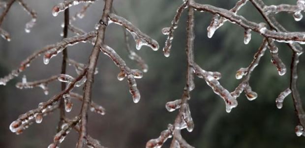 The Freeze Has Begun -- Occupational Health & Safety
