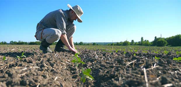 It’s a Hot 80-Degree Day: Has Your Lone Worker Checked In ...