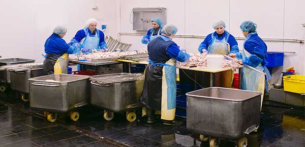 Meatpacking Industry Achieves Record Low Workplace Injury Rate ...