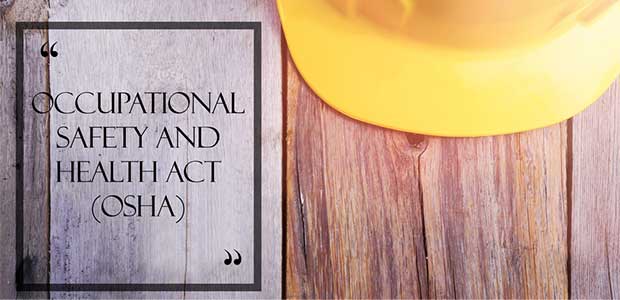 A New OSHA Leader: What a Corporate Safety and Health Director Has to ...