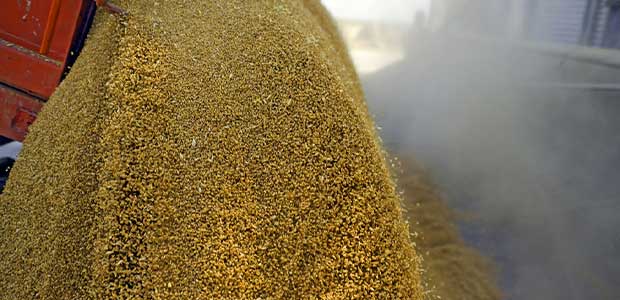 Grain Facility Cited for Workplace Safety Failures Following Dust ...