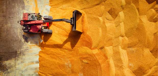 Stand Up 4 Grain Safety Week Promotes Safety in High-Hazard Industry ...