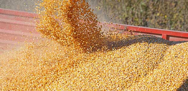 Stand Up 4 Grain Safety Week Aims to Prevent Injuries, Fatalities ...