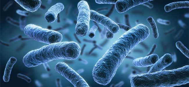 Legionella Management: Back to Basics -- Occupational Health & Safety