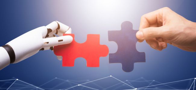 The Confluence Between Human and Machine in the Prioritization of Risk ...