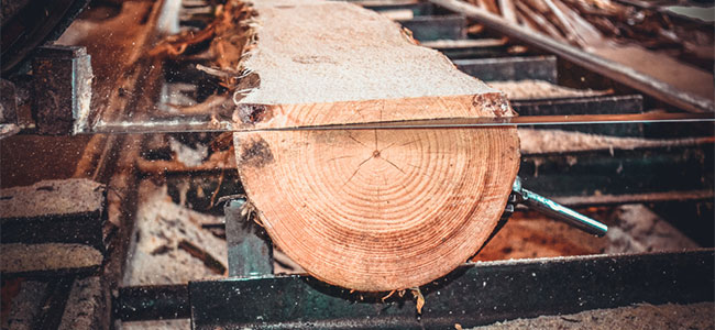 OSHA Finds Sawmill Failed to Remediate Exposed Saw Following a Worker’s ...