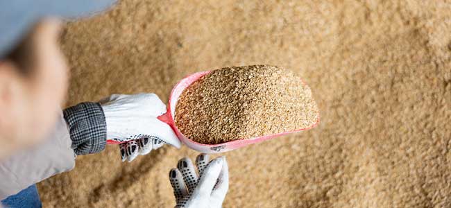 Wisconsin Animal Feed Plant Faces $161,332 in OSHA Penalties for Dust ...