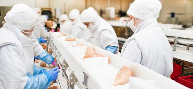 USDA Study Highlights Risks to Worker Safety in Meat Processing Plants ...