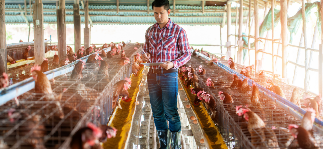 Ohio Reports First Probable Human Case of Bird Flu in Farm Worker ...
