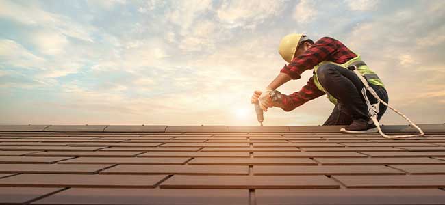 Fall Protection -- Occupational Health & Safety